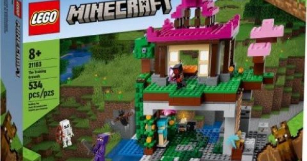 21183 21183 tbd Minecraft Dojo Cave 2022 V29